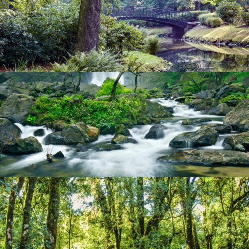 Crans-Montana: In Erinnerung an eine verlorene Nacht – MAGAZIN, IMPULSE ...